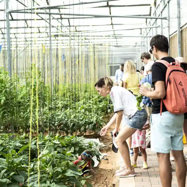 Spend the Day at stunning Emirates bio Farm | Buy Organic