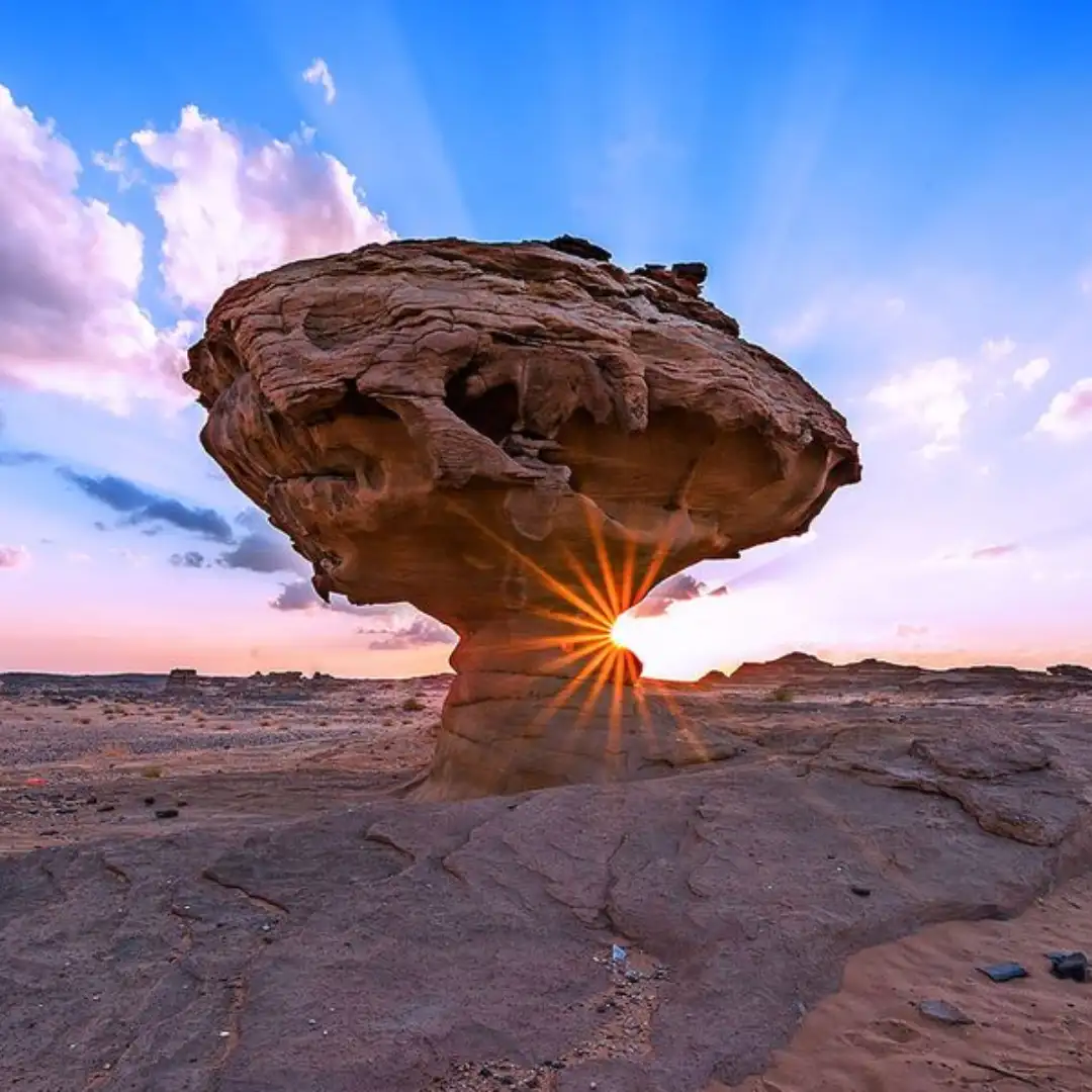 Experience Al Ula Saudi Arabia | Hala Arabia Travel & Tourism