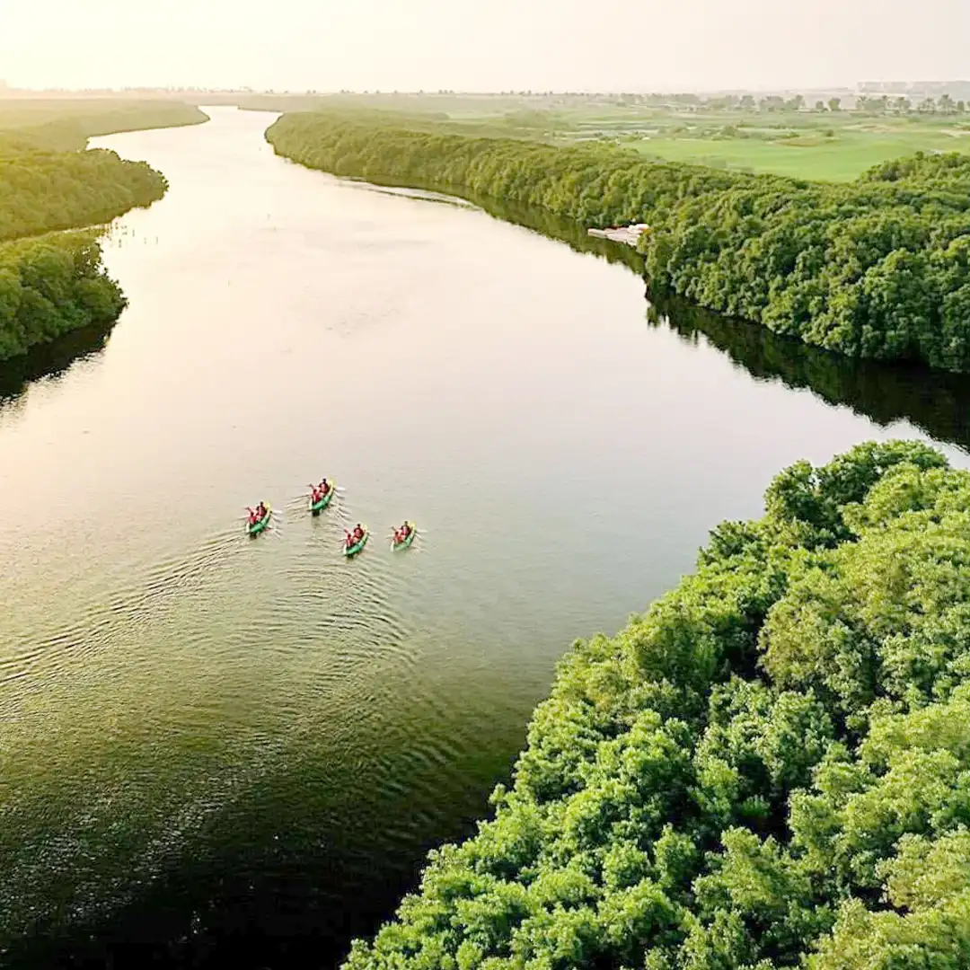 Reconnect With Nature At Al Zorah Nature Reserve Ajman