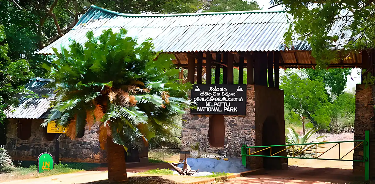 Exciting Safari at Wilpattu National Park Sri Lanka 508sqmi